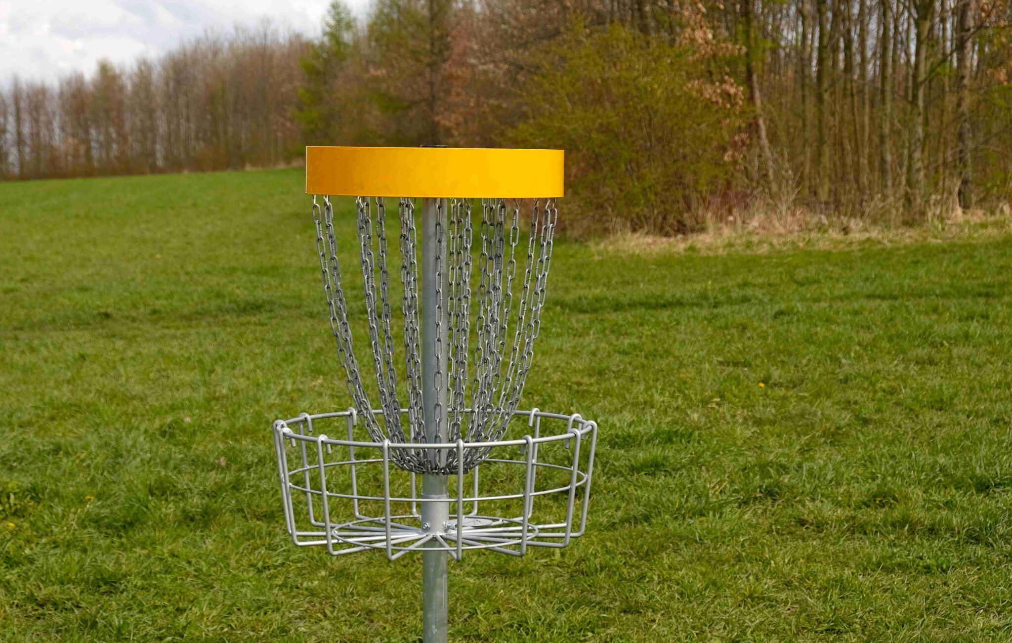 Official Disc Golf World Rankings – Updated Standings & System